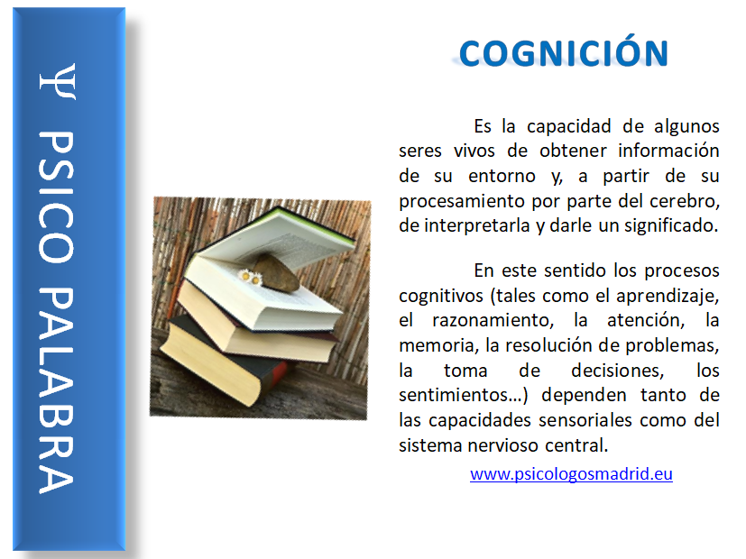 Psico Palabra: Cognición | Psicologos Madrid