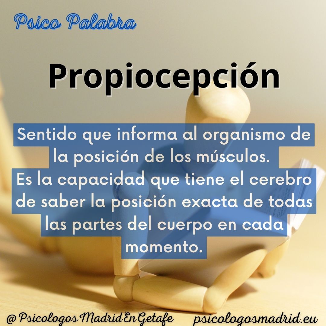 Propiocepción - Psico Palabra | Psicologos Madrid